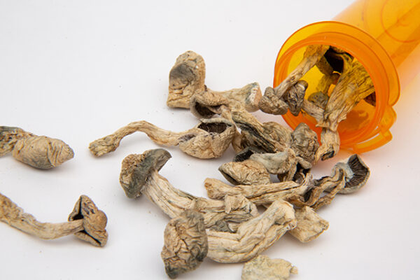 Guide to dosing psilocybin | Heally